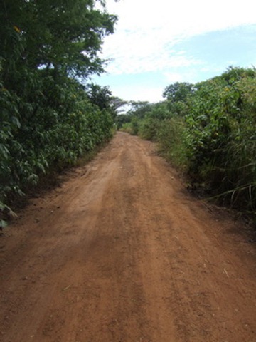 Luanda-Maputo by Bicycle: Angola-Últimos Dias II (Lucusse – Luvei)